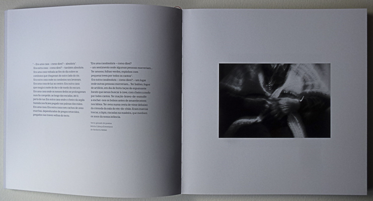 RENATO ROQUE, ARCA DE NOÉ, 2015 | FASCÍNIO DA FOTOGRAFIA