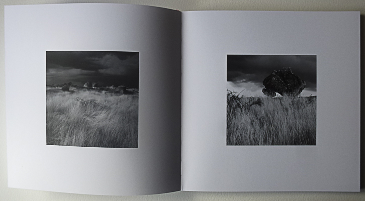 RENATO ROQUE, ARCA DE NOÉ, 2015 | FASCÍNIO DA FOTOGRAFIA