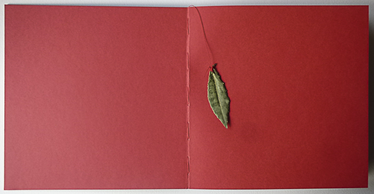 RENATO ROQUE, ARCA DE NOÉ, 2015 | FASCÍNIO DA FOTOGRAFIA