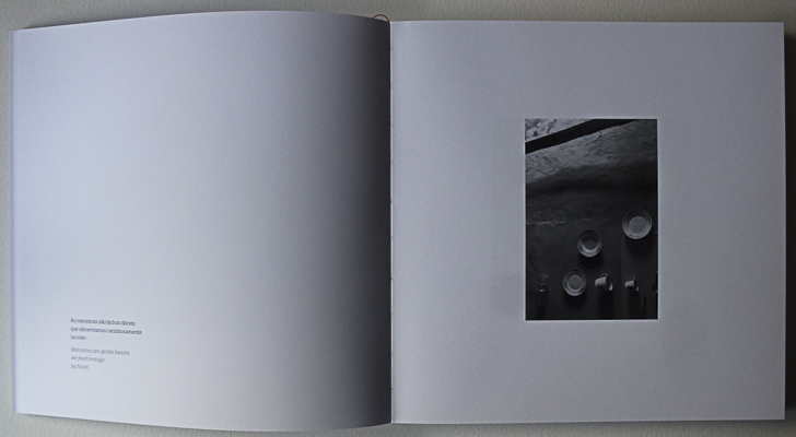 RENATO ROQUE, ARCA DE NOÉ, 2015 | FASCÍNIO DA FOTOGRAFIA