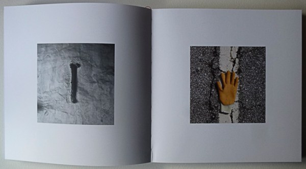 RENATO ROQUE, ARCA DE NOÉ, 2015 | FASCÍNIO DA FOTOGRAFIA