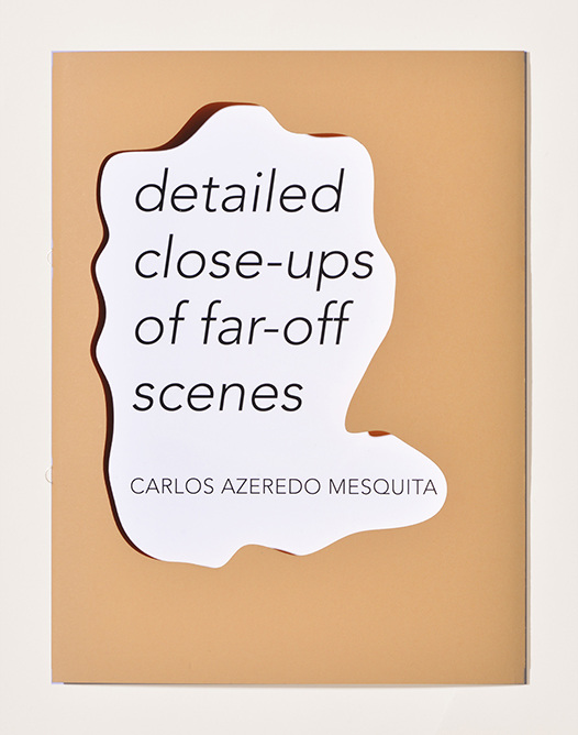 CARLOS AZEREDO MESQUITA, DETAILED CLOSE-UPS OF FAR-OFF SCENES, 2015 | FASCÍNIO DA FOTOGRAFIA