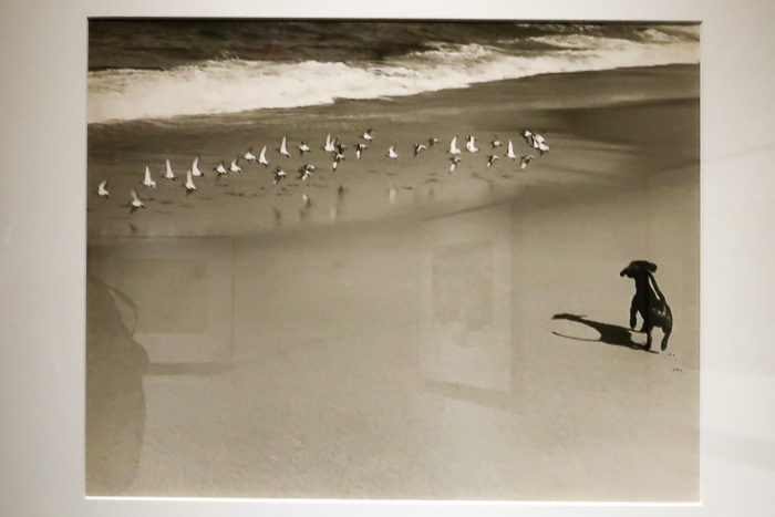 HELENA CORRÊA DE BARROS: FOTOGRAFIA, A MINHA VIAGEM PREFERIDA ...