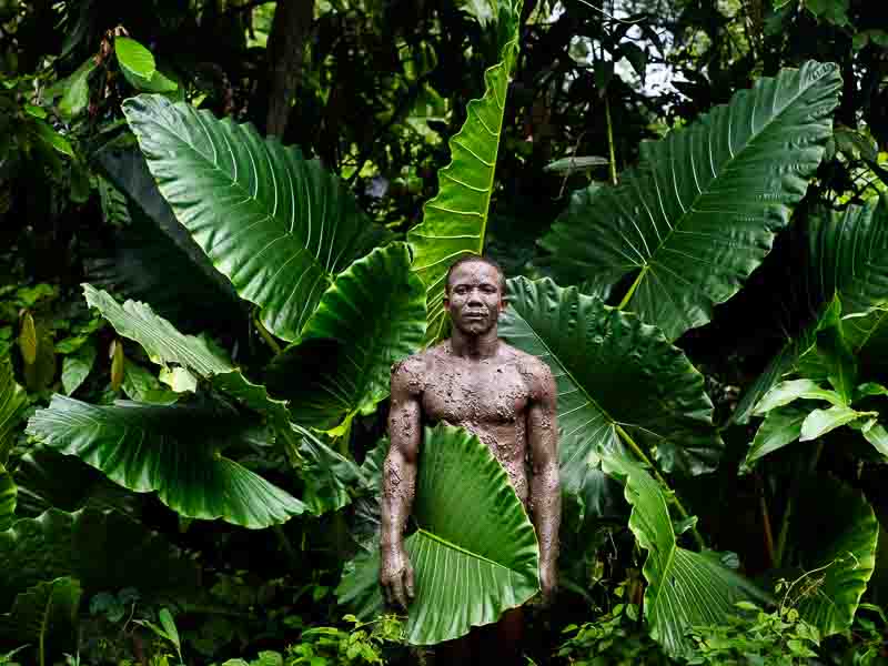 BRUNO SAAVEDRA, PARA NÃO DIZEREM QUE NÃO FALEI DAS FOLHAS, 2021 ...