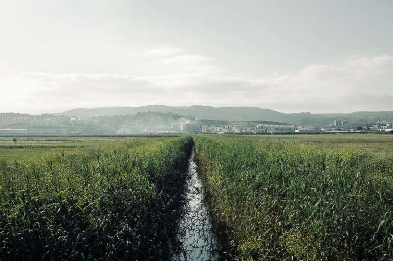 STEFANO MARTINI, LINHA | FASCÍNIO DA FOTOGRAFIA