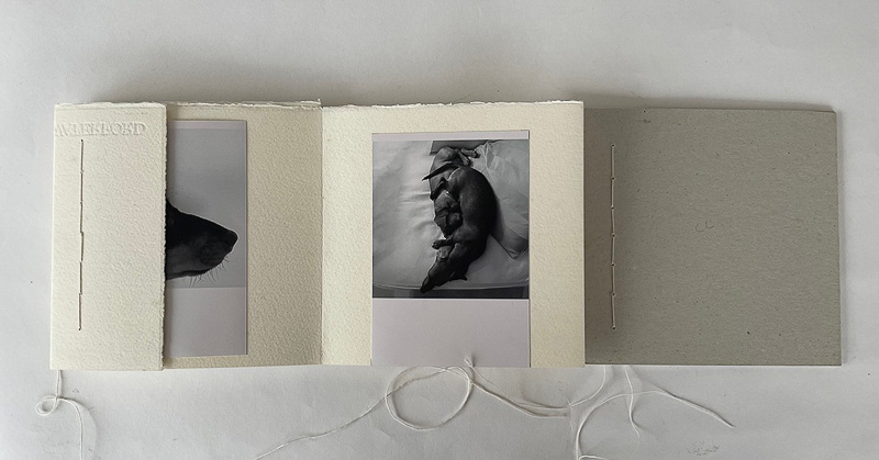 ANA ALVIM, CAVE CANEM, 2023 | FASCÍNIO DA FOTOGRAFIA