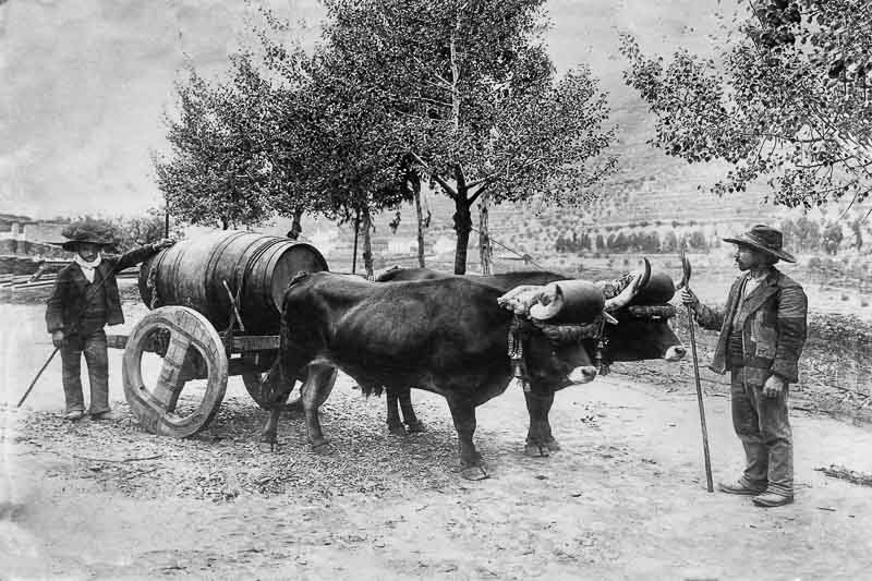 COLEÇÃO AMÉRICO SANTOS, MEMÓRIAS | FASCÍNIO DA FOTOGRAFIA