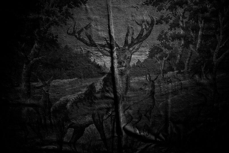 ELDAD RAFAELI, THE WAY TO THE HIGH MOUNTAIN | FASCÍNIO DA FOTOGRAFIA