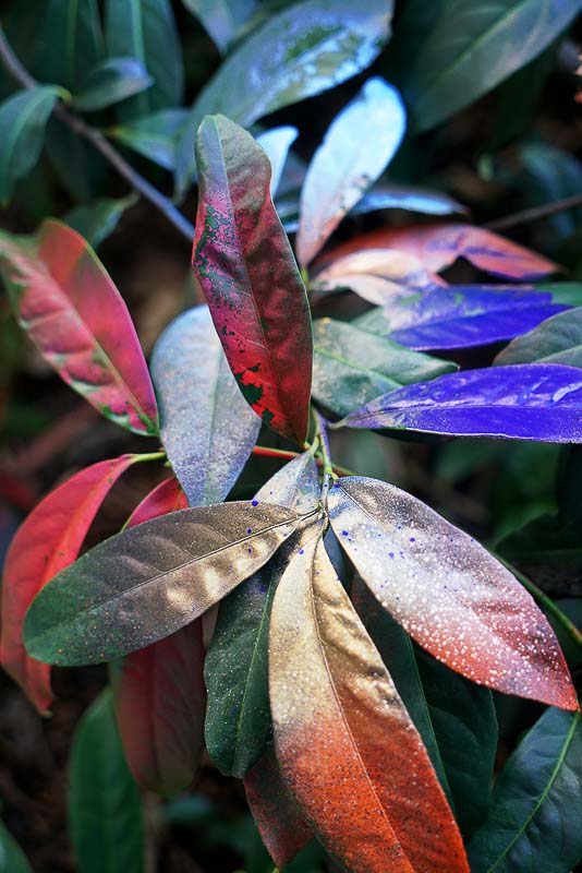 JESSICA BACKHAUS, THE NATURE OF THINGS E INDICATIONS OF THE SEA ...